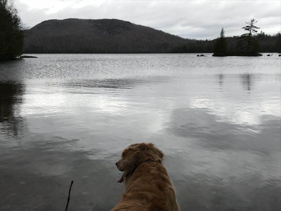 An autumn walk to McKenzie Pond | News, Sports, Jobs - Adirondack Daily ...